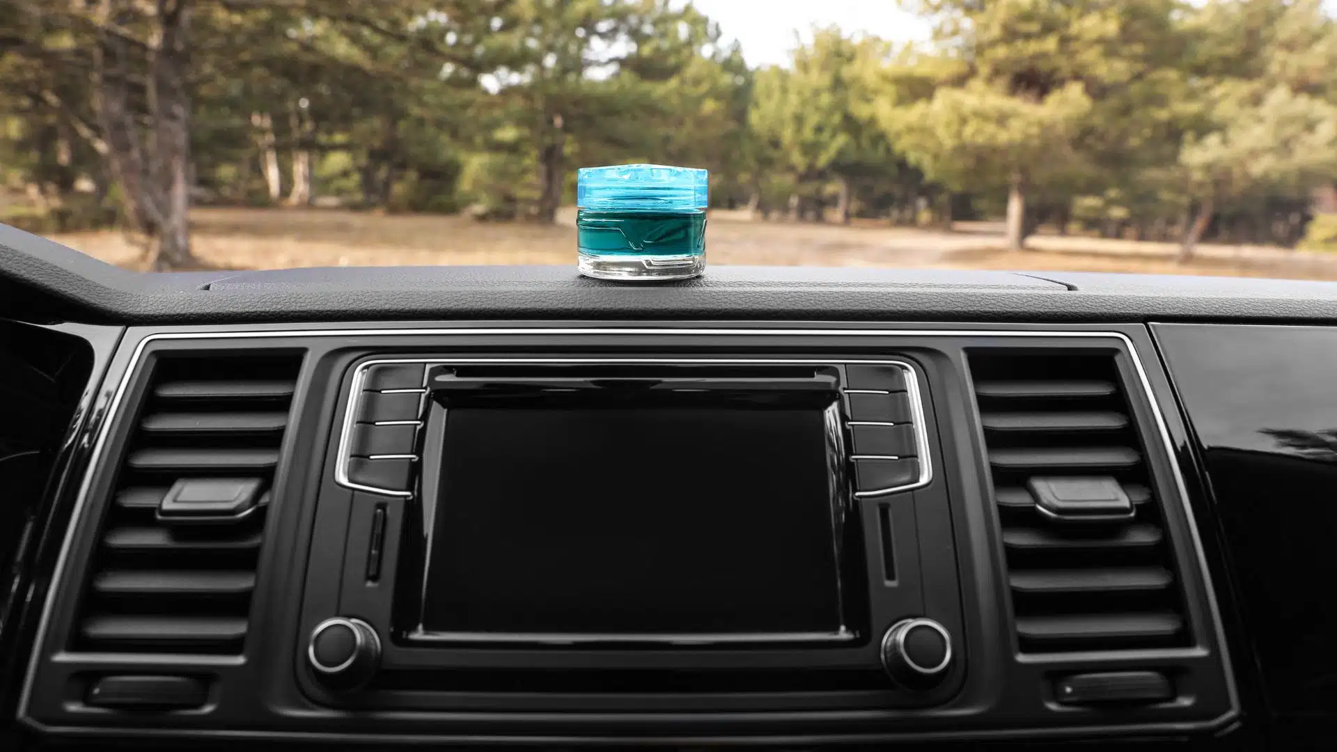 9 Rekomendasi Hiasan Dashboard Mobil yang Unik dan Keren | AstraOtoshop.com